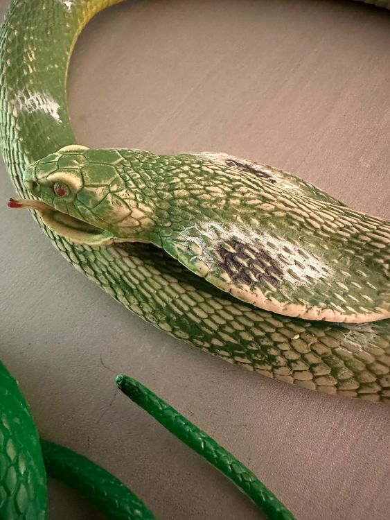 Schlangen | Kaufen auf Ricardo