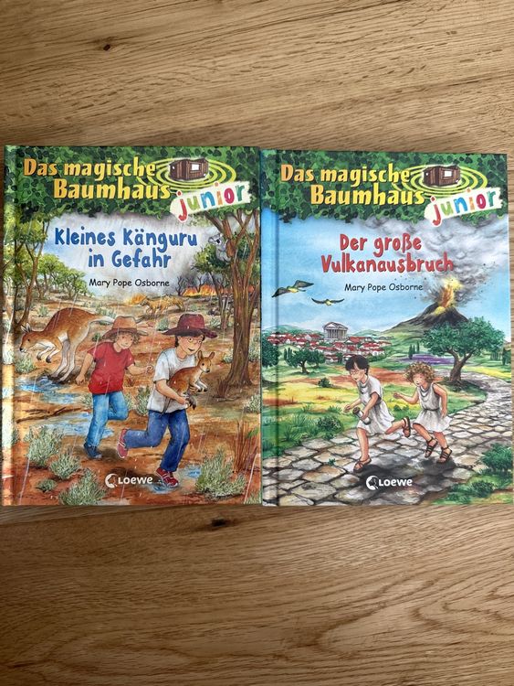 2 x das magische Baumhaus Junior | Kaufen auf Ricardo