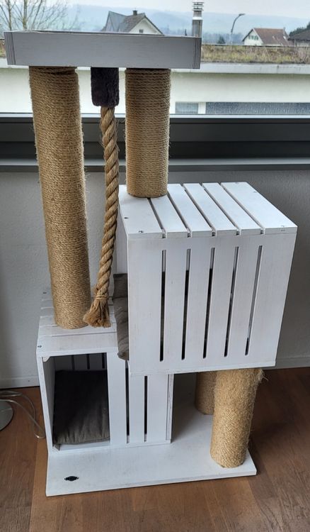 Moderner Katzenbaum Kratzbaum (Gebraucht) in Bellach für CHF 20 – nur ...