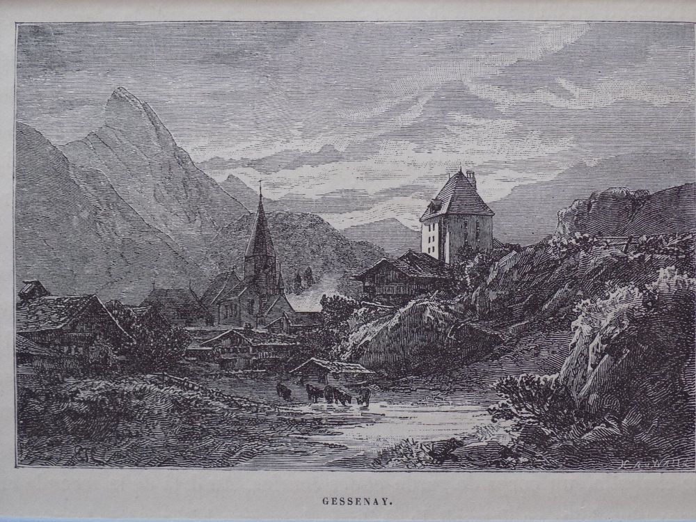 Saanen im Berner Oberland (Gebraucht) in Risch für CHF 30 – mit ...