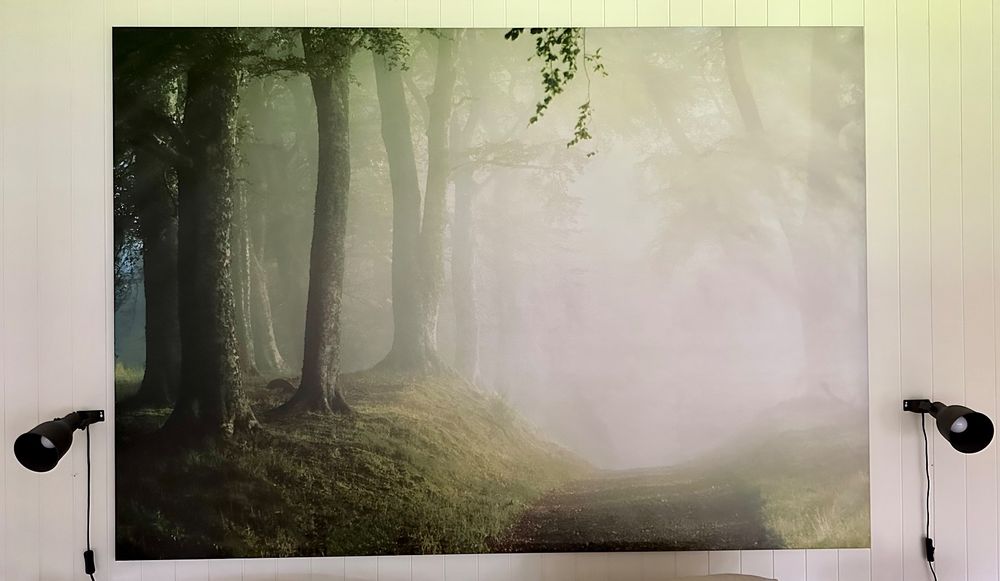 Grosses IKEA Wandbild (200cm x 140cm) (Gebraucht) in Heimiswil für CHF 1 – nur Abholung auf ...