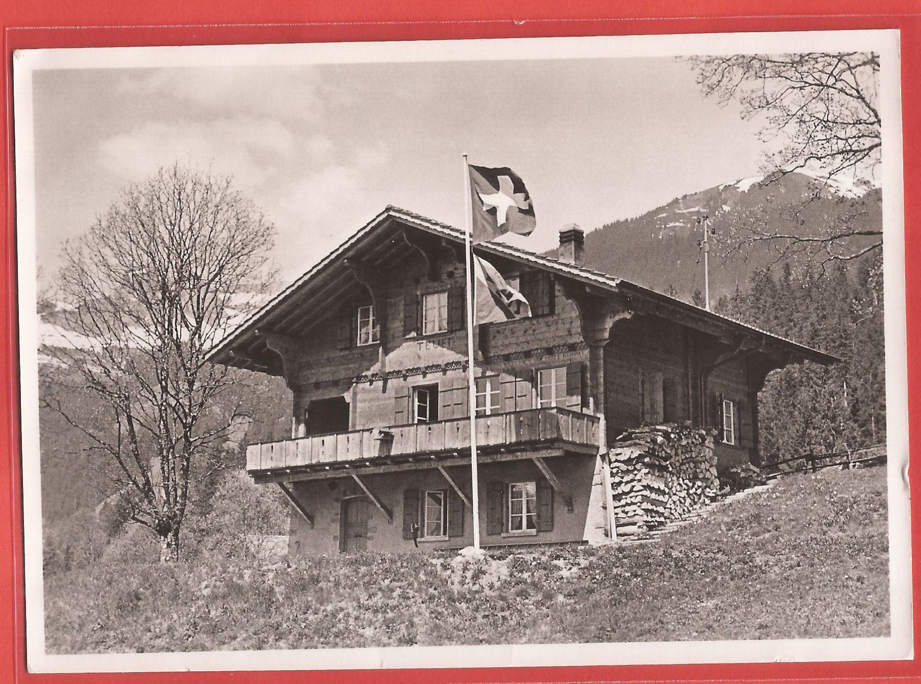 Grindelwald Clubhütte SFAC (SAC der Frauen) 1956 beschrieben (Gebraucht ...