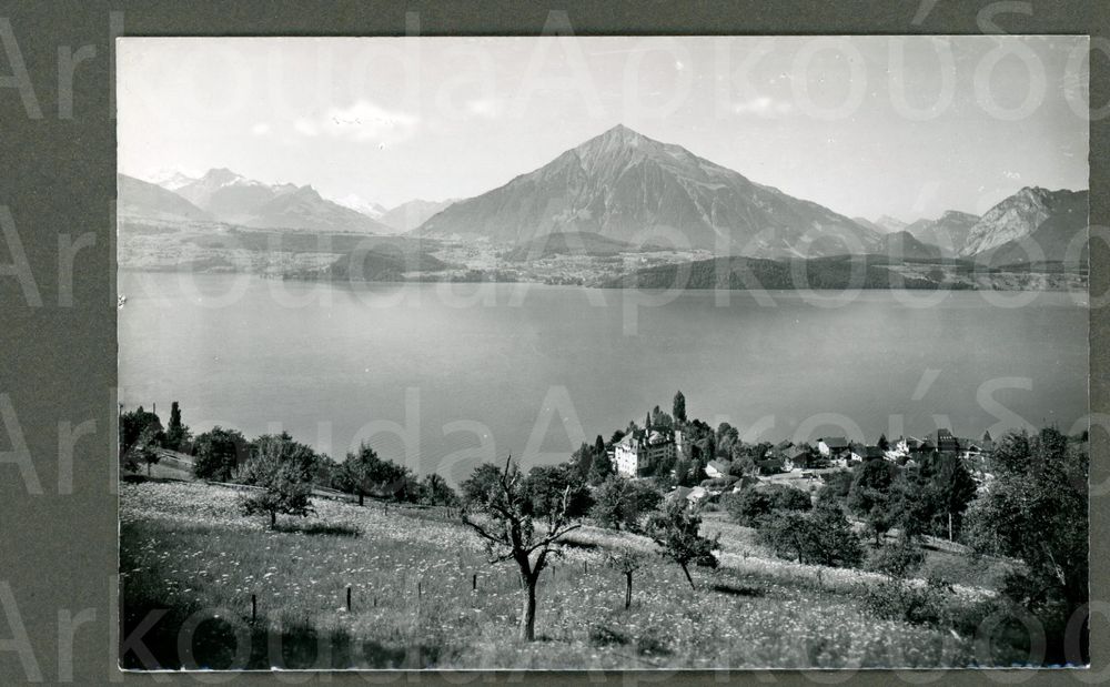 AK sw Gunten BE am Thunersee, 14x9 © von Ow ≈ 1952 (Gebraucht) in Basel ...