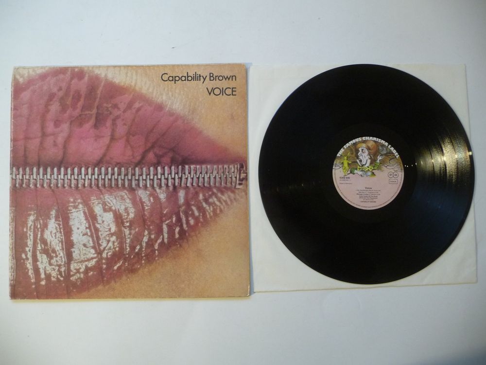LP CAPABILITY BROWN - VOICE (Gebraucht) in Aesch BL für CHF 49.9 – mit Lieferung auf Ricardo kaufen
