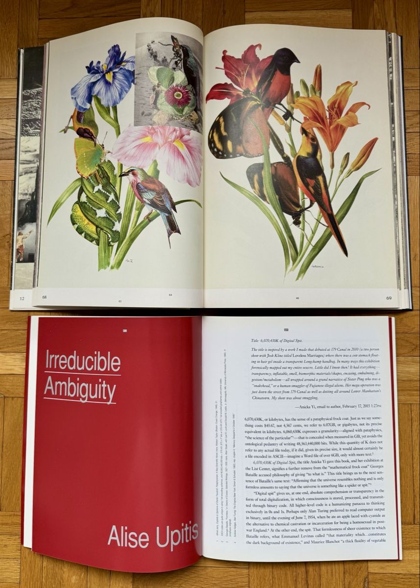 4x CONTEMPORARY ART BOOKS HUBER HUBER YI CHARRIERE CASCIO (Neu (gemäss ...