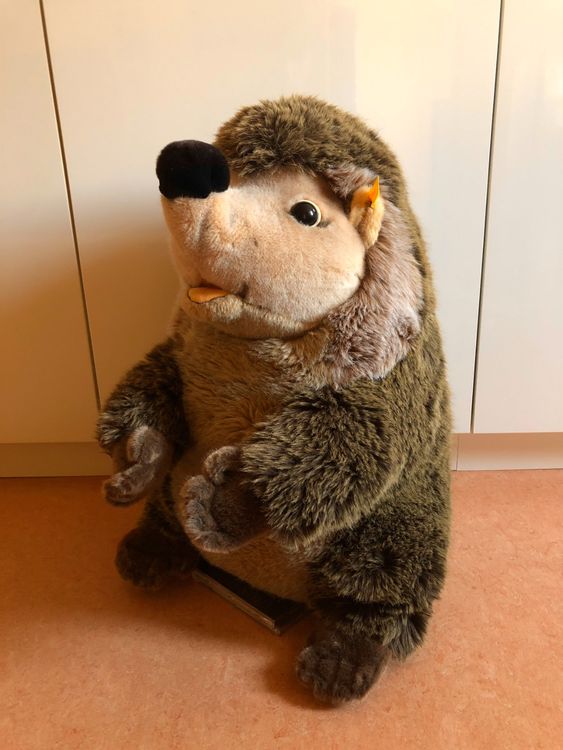 Steiff Joggi Igel 50 cm 1677/50 (Gebraucht) in Bigorio für CHF 65 – mit ...