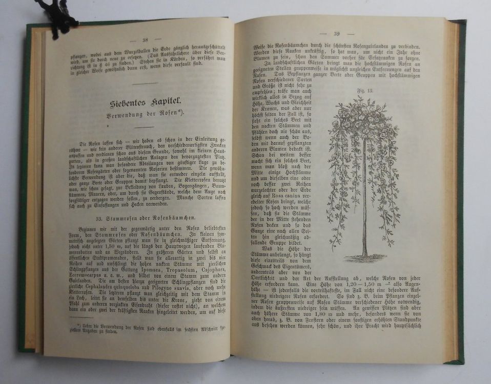 Anleitung zur Kultur der Rosen. 1886. Schönes Exemplar. (Gebraucht) in ...