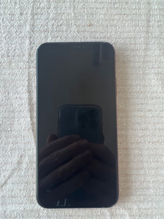 iPhone X rosa (Gebraucht) in Waldkirch für CHF 164 – nur Abholung auf ...