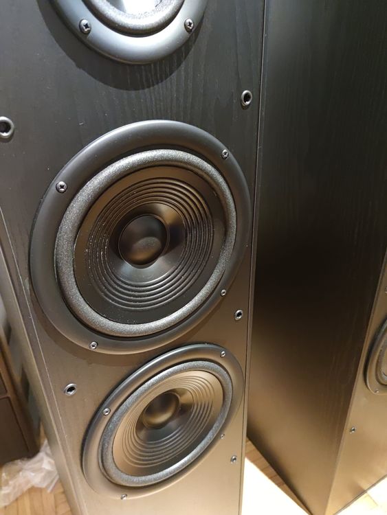 Infinity Reference 61 mk II (Gebraucht) in Niederhasli für CHF 364 – nur Abholung auf Ricardo kaufen