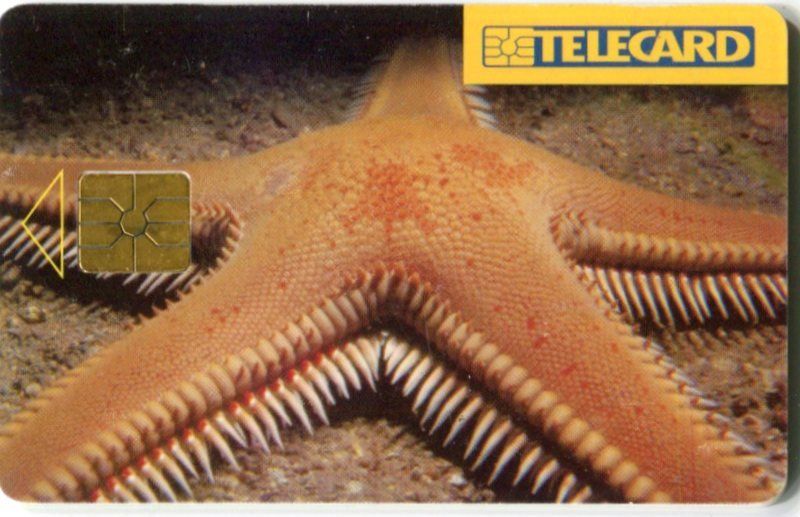 Telefonkarte "Seesterne". Tschechien (Gebraucht) in Basel für CHF 1 – mit Lieferung auf Ricardo ...