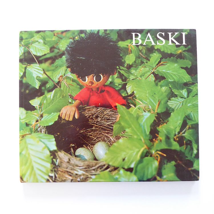 Baski (Gebraucht) in Basel für CHF 10 – mit Lieferung auf Ricardo kaufen