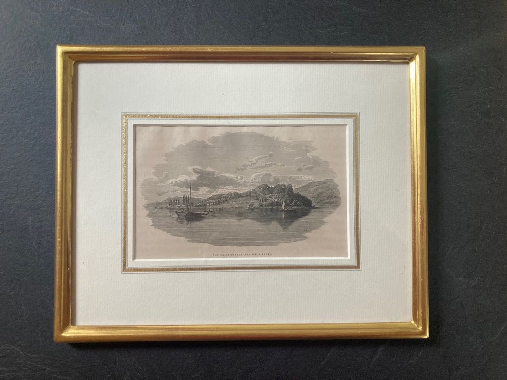 Stich Ile Saint-Pierre lac de Bienne - St. Petersinsel Biel (Gebraucht) in Arbon für CHF 49 ...
