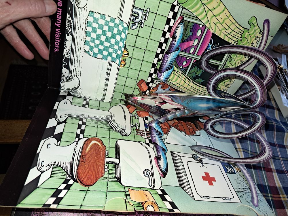 Jan Pienkowski's Haunted House - Pop-up Buch, (Gebraucht) in Kölliken ...