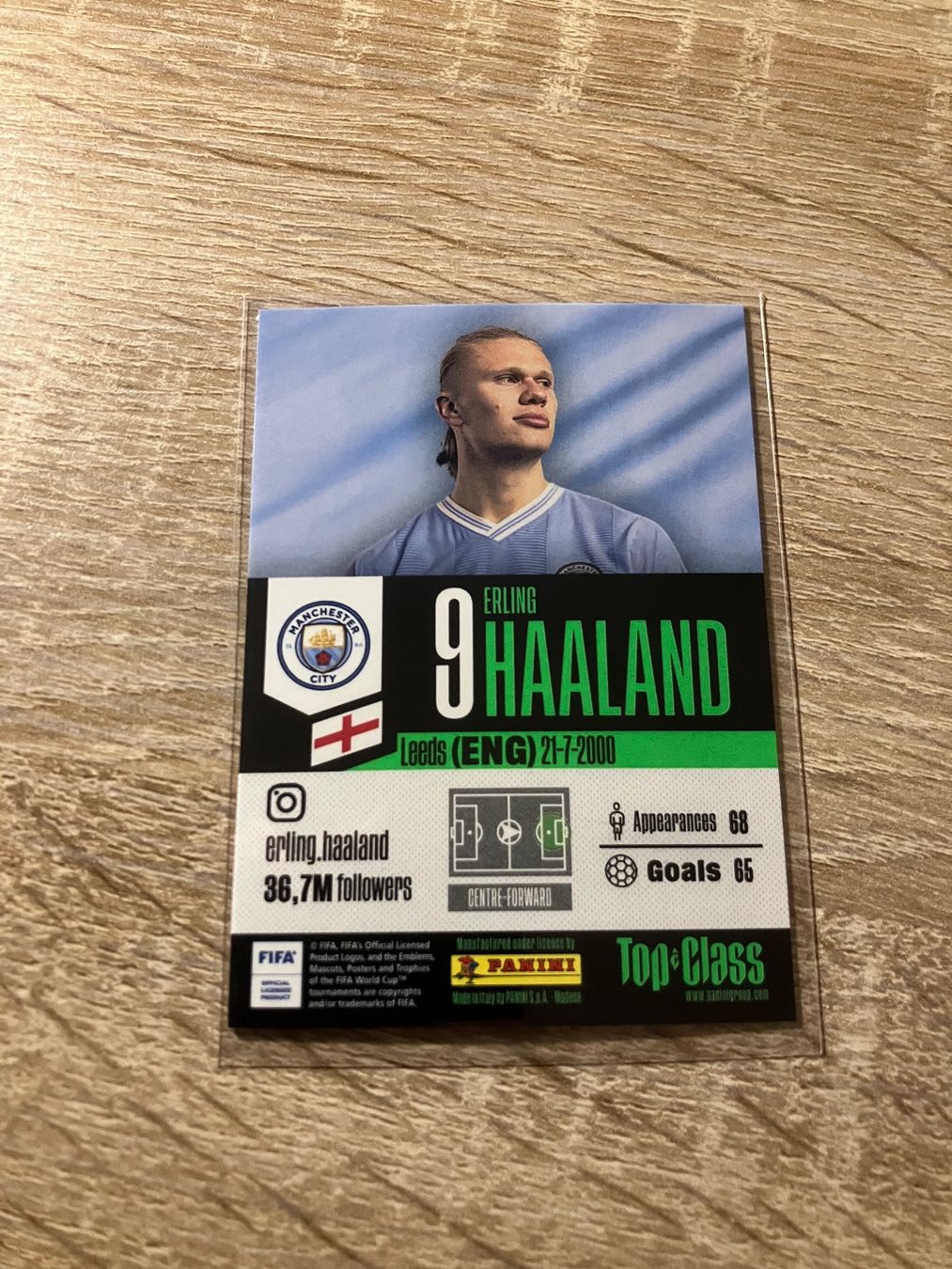 Panini Top Class 2024 Haaland Man City Rainbow Master (Neu (gemäss ...