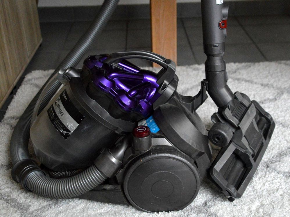 Staubsauger Dyson DC29 aspirateur | Kaufen auf Ricardo