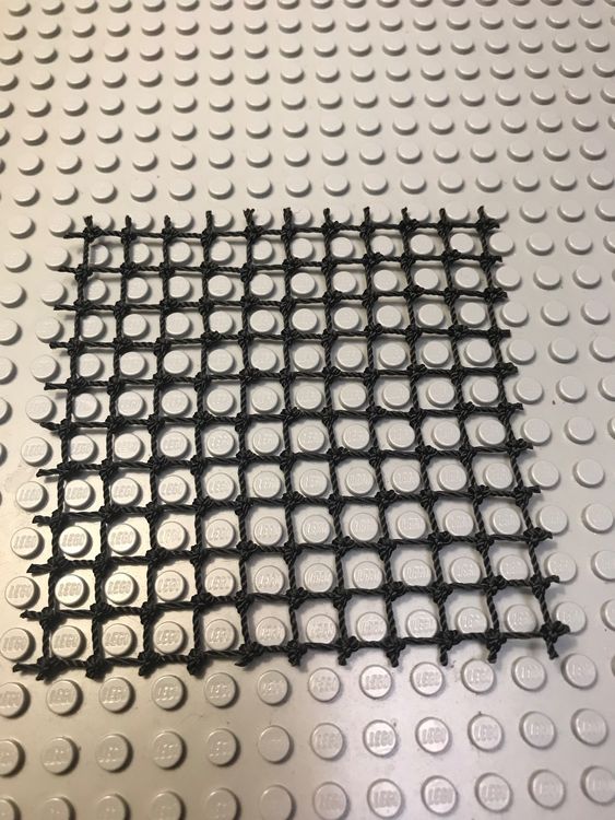 Lego Netz 10x10 | Kaufen auf Ricardo