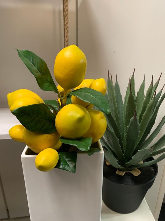 ASA Selection Quadro Vase 12x12x30cm weiss glanz, Keramik (Gebraucht ...