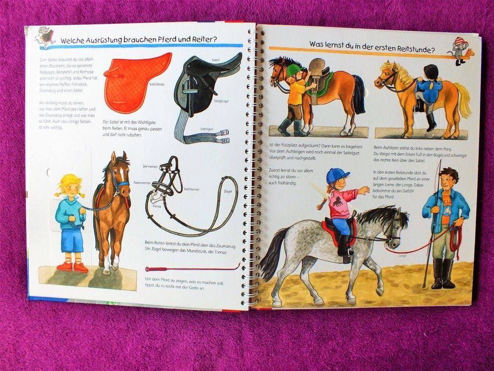 Wieso Weshalb Warum Buch - Alles über Pferde und Ponys (Gebraucht) in ...