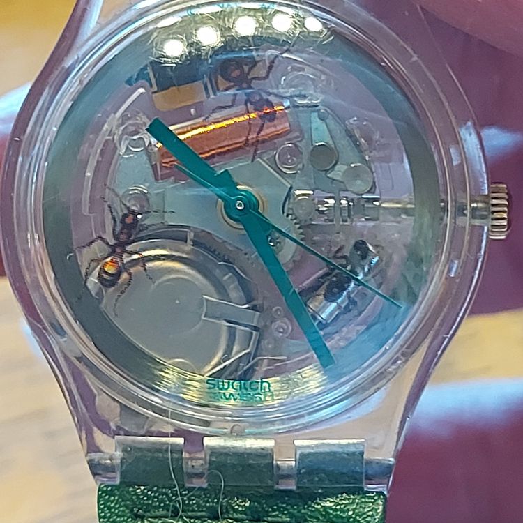 Swatch Gent Access GARDEN TURF 1997 Rarität (Gebraucht) in Schlieren ...