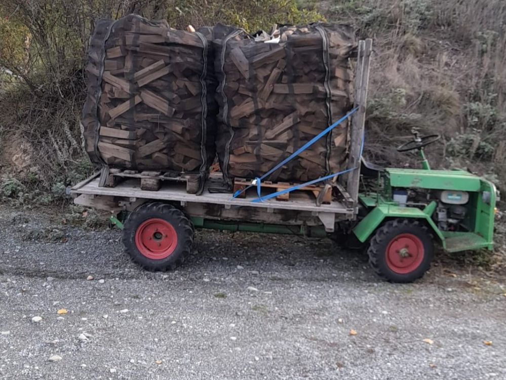 Schilter 1000 (Gebraucht) in für CHF 2230 – nur Abholung auf Ricardo kaufen