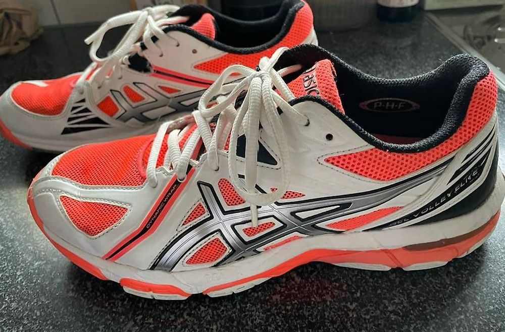 Hallenschuhe Volleyball (Gebraucht) in Geuensee für CHF 65 – mit Lieferung auf Ricardo kaufen