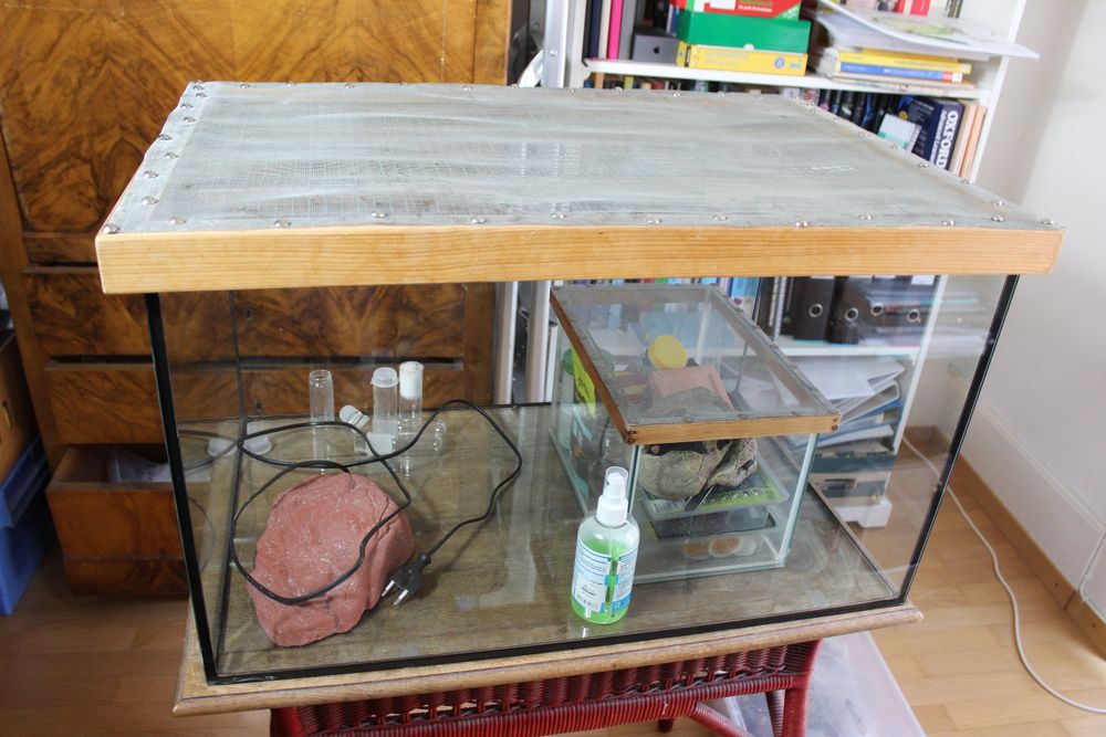 Terrarium für Gecko mit viel Zubehör (Gebraucht) in Zürich für CHF 50 ...