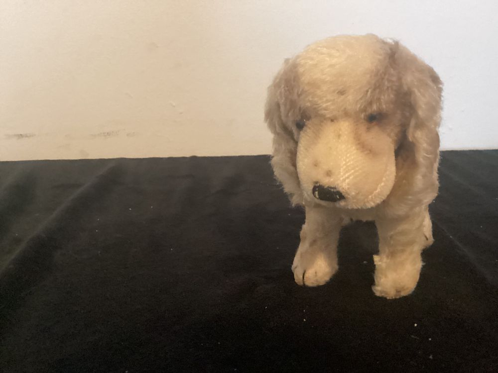 STEIFF COCKER SPANIEL 1950/60 (Gebraucht) in Münchenstein für CHF 45 ...