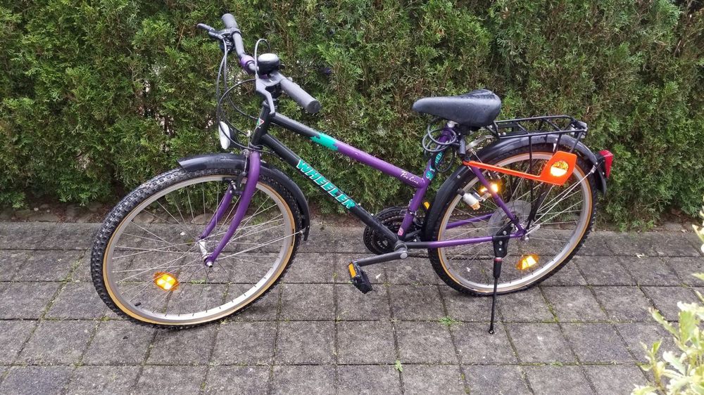 Wheeler ProLine 2100 Mountenbike (Defekt) in Hagendorn für CHF 21 – nur ...