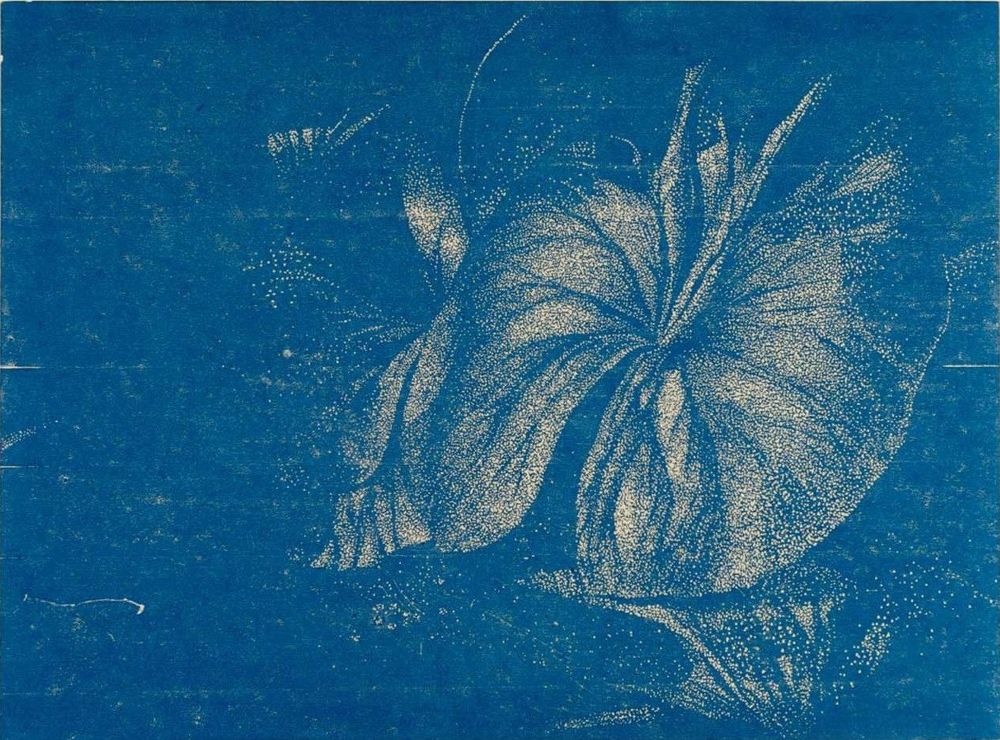 Franz Gertsch. (Gebraucht) in Allschwil für CHF 49 – mit Lieferung auf Ricardo kaufen