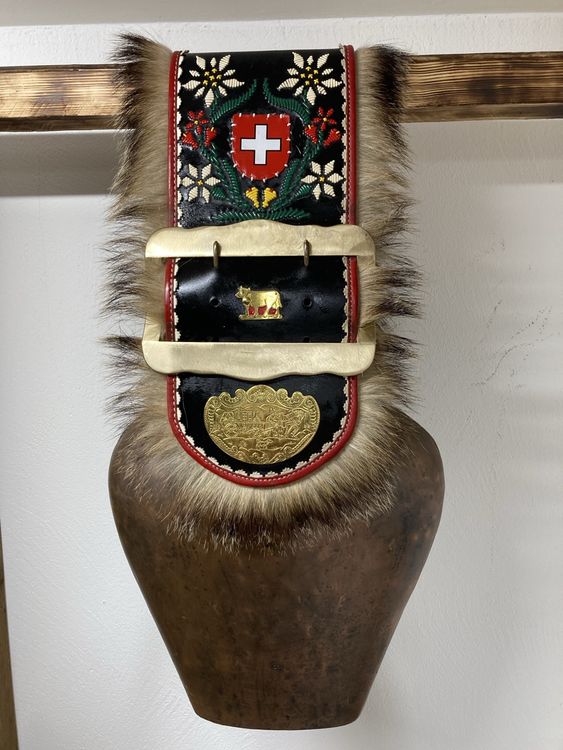Steiner Treichel (Gebraucht) in Jenaz für CHF 750 – mit Lieferung auf ...