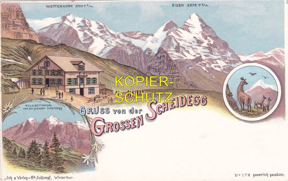 Gruss von der Grossen Scheidegg (Litho) /ar (Gebraucht) in ...