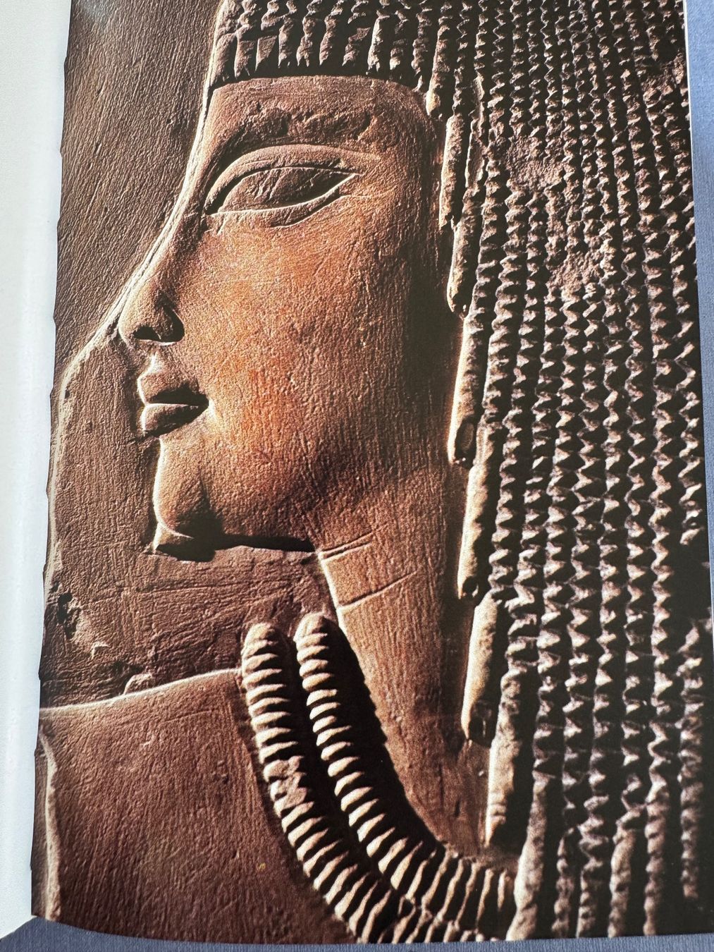 Beauty Beauty SCHÖNHEIT Schirmer Mosel 2000 D Schefer Faux (Neu (gemäss ...