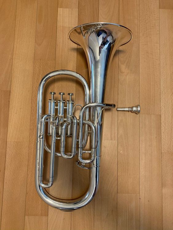 Es Horn / Althorn (Gebraucht) in Wettswil für CHF 50 – mit Lieferung ...