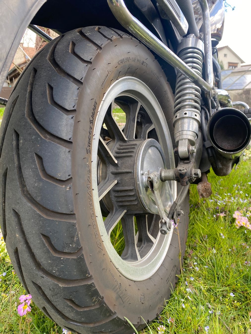 Honda Shadow VT500 Chopper (Gebraucht) in Thun für CHF 850 – nur ...