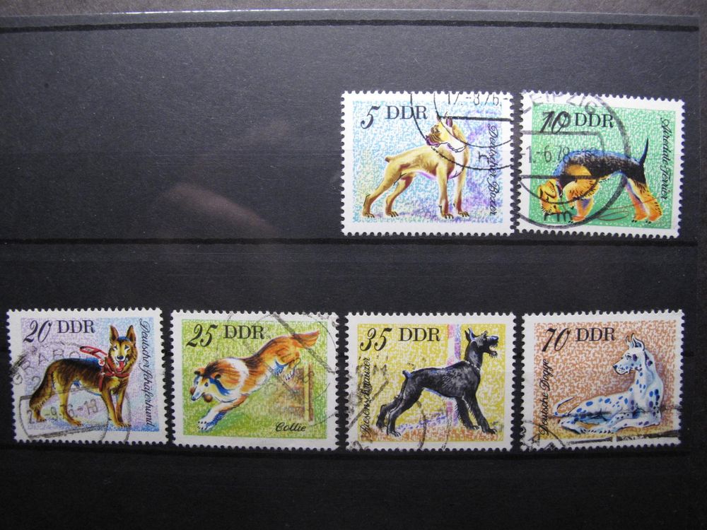 DDR 1976 Hunderassen gest. (Gebraucht) in Wil SG für CHF 1 – mit ...