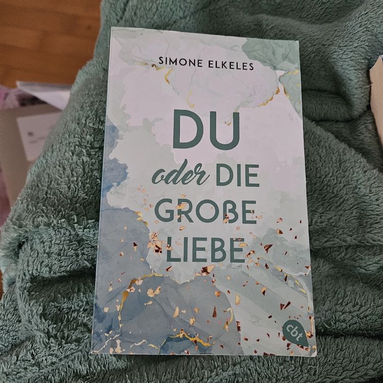 Buch: Du oder die grosse Liebe | Kaufen auf Ricardo