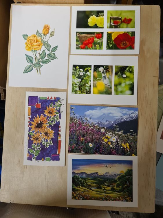 Alte Gruss-/ Postkarten diverse Grössen (Neu (gemäss Beschreibung)) in ...