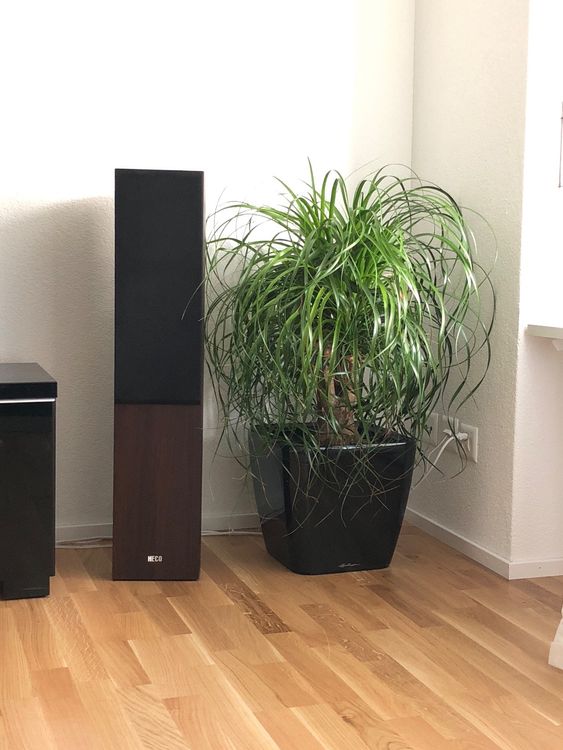 Heco Victa 500 Lautsprecherpaar (Gebraucht) in Jona für CHF 50 – nur ...