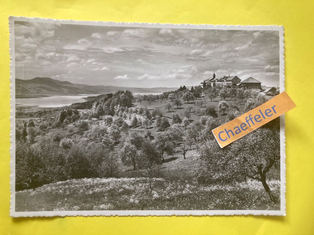 1945 Kloster Berg Sion Post Üetliburg St. G. mit Zürichsee (Gebraucht ...