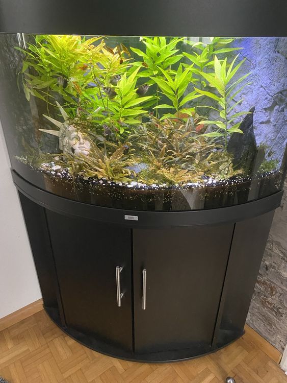 Eck Aquarium Juwel 180 lt | Acheter sur Ricardo