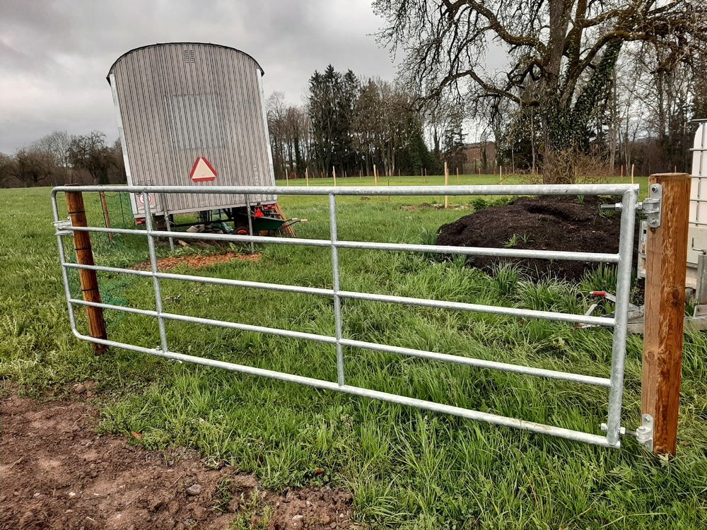 Weidetor feuerverzinkt, sehr stabil! Scharniere neuwertig (Neu (gemäss ...