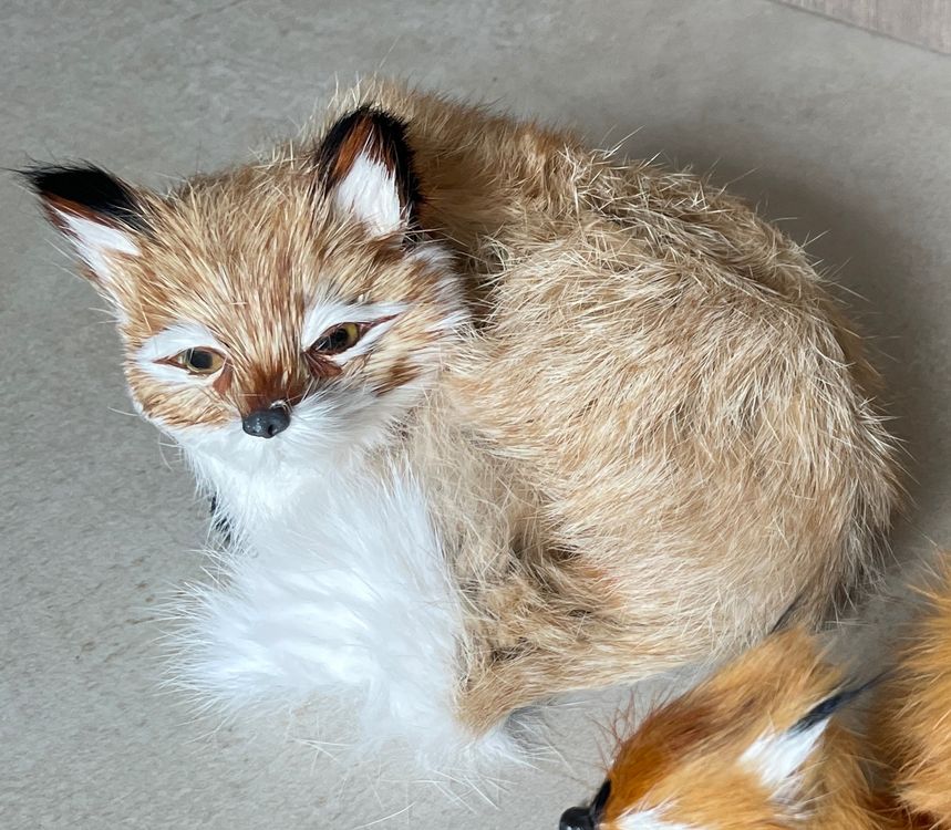 Fuchs (Tierfigur Echthaar) (Gebraucht) in für CHF 10 – mit Lieferung ...
