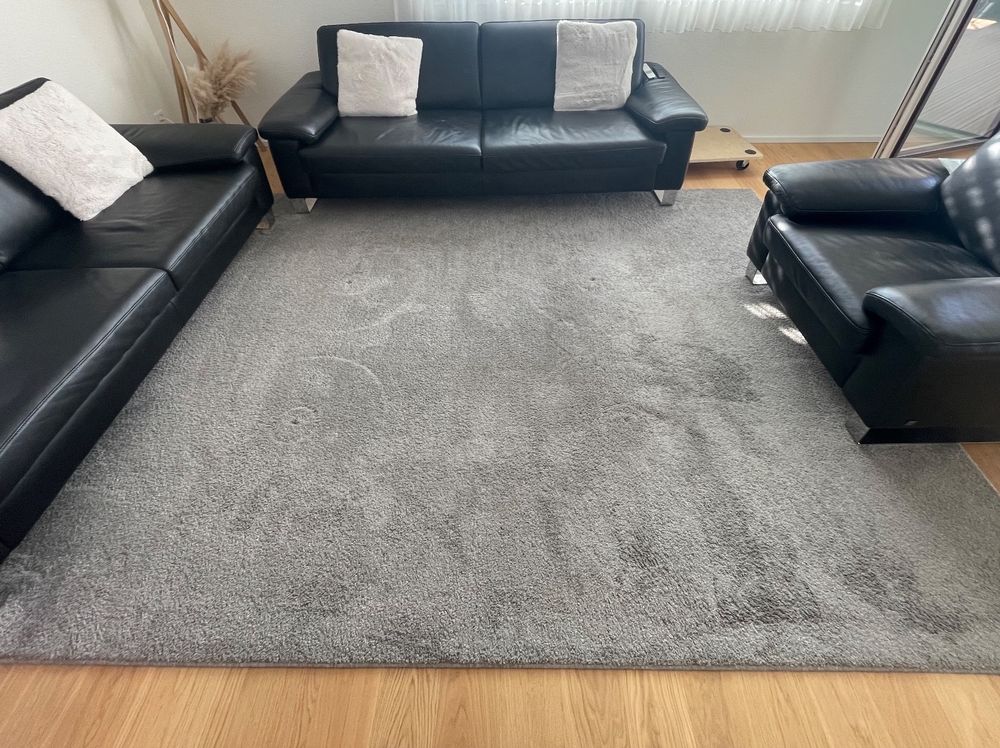 Grosser grauer Teppich 340x230cm (Gebraucht) in Steinebrunn für CHF 60 ...