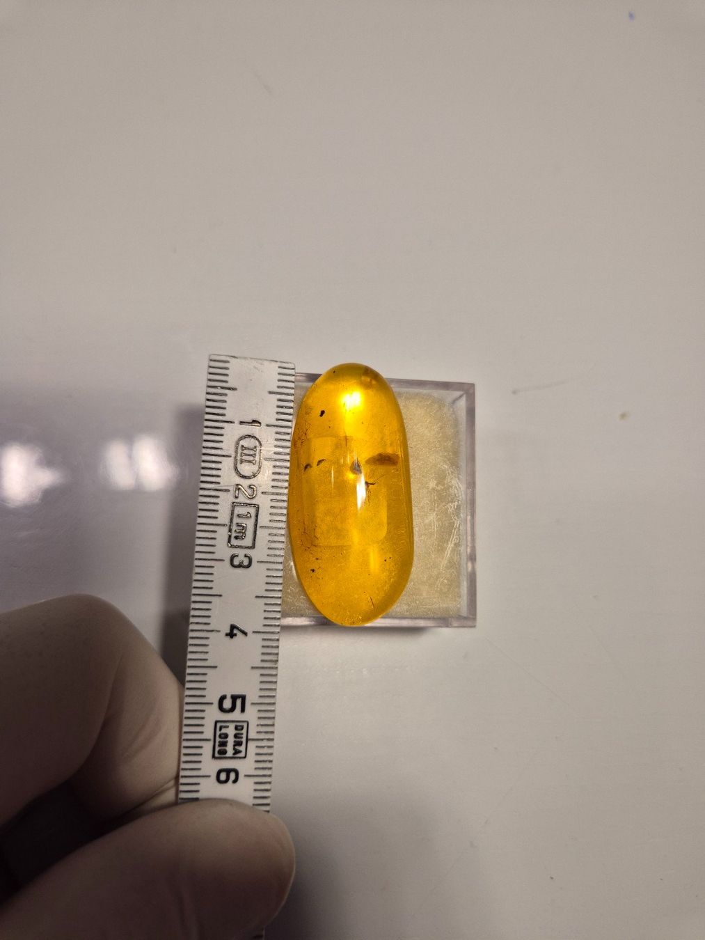 Ambre baltique naturel avec inclusion d’insecte – env. 4 cm (D'occasion ...