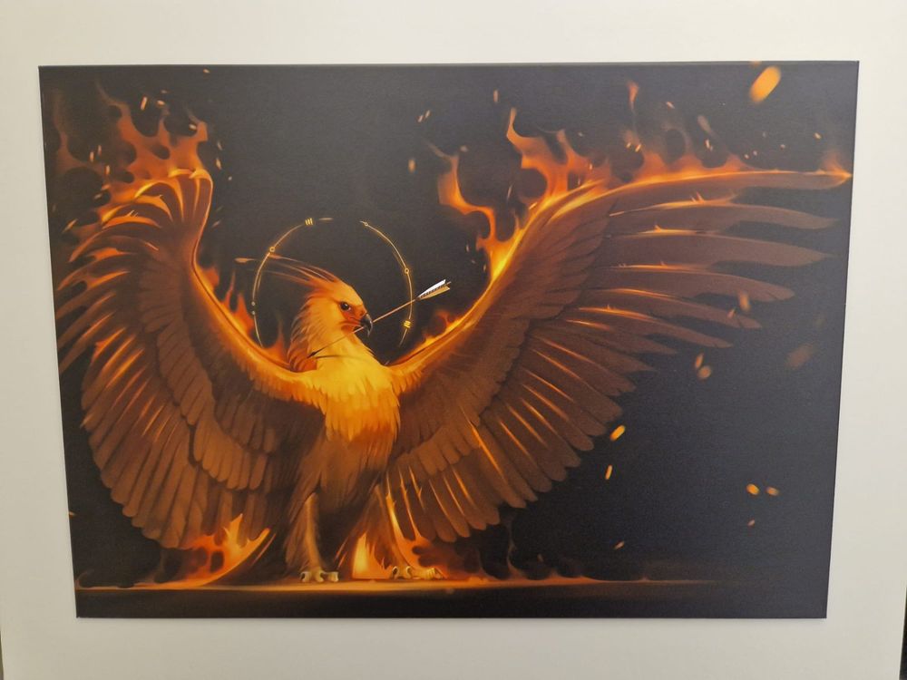 Displate Phönix (Neu (gemäss Beschreibung)) in Schlatt TG für CHF 13.5 ...
