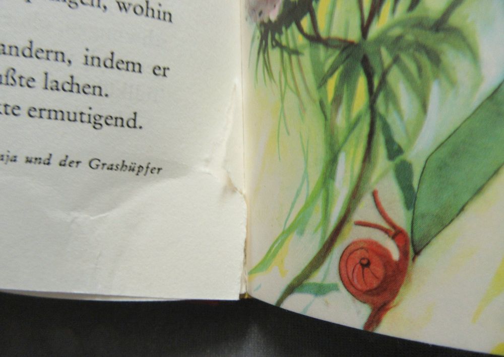 Die Biene Maja und ihre Abenteuer - von Waldemar Bonsels | Kaufen auf Ricardo