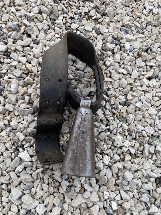 Cloche à vaches | Kaufen auf Ricardo