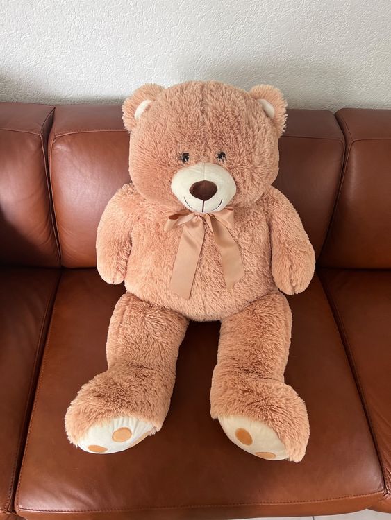 Riesen Teddybär plüsch (Neu (gemäss Beschreibung)) in Henau für CHF 1 ...