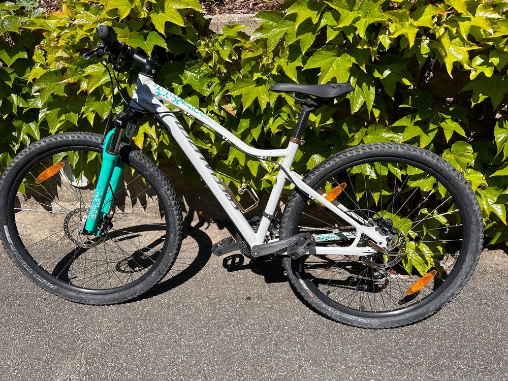Mountainbike Damen, Specialized, JYNX, M/17, weiß/türkis (Gebraucht) in ...