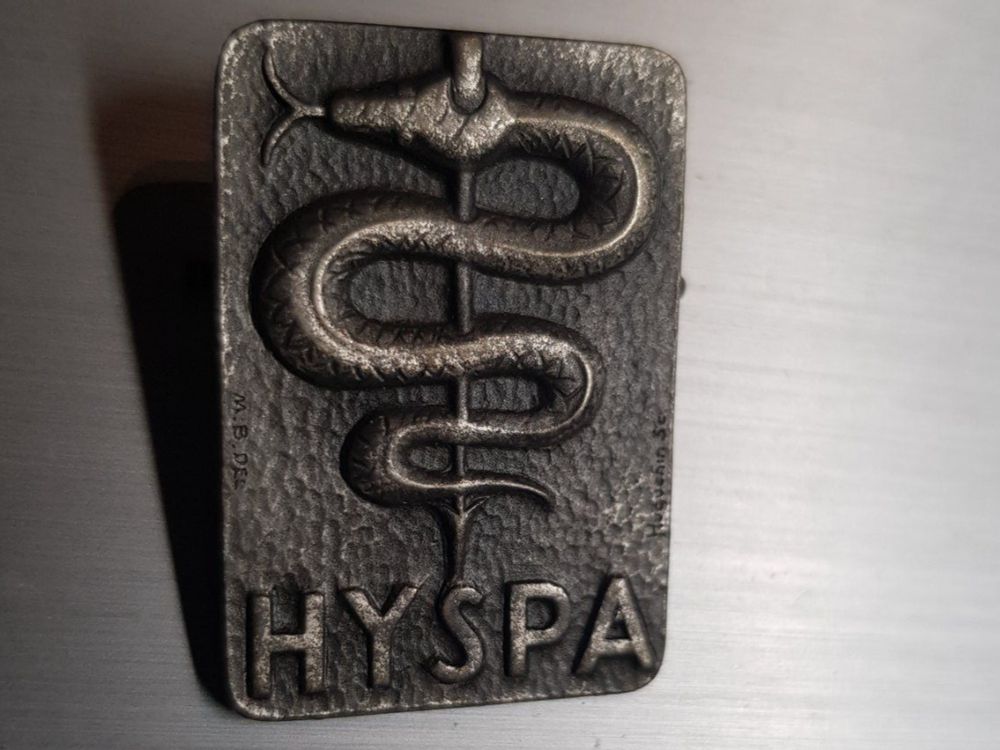 HYSPA Abzeichen Pin - 1931 Schweiz Eidgen. Plakette (Gebraucht) in ...